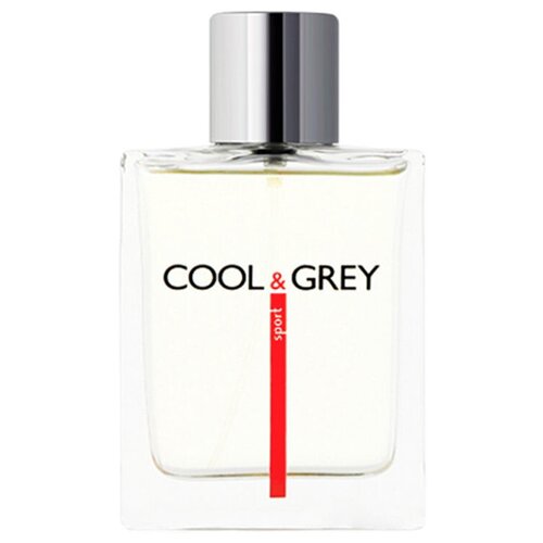 Dilis Parfum туалетная вода Cool&Grey, 100 мл