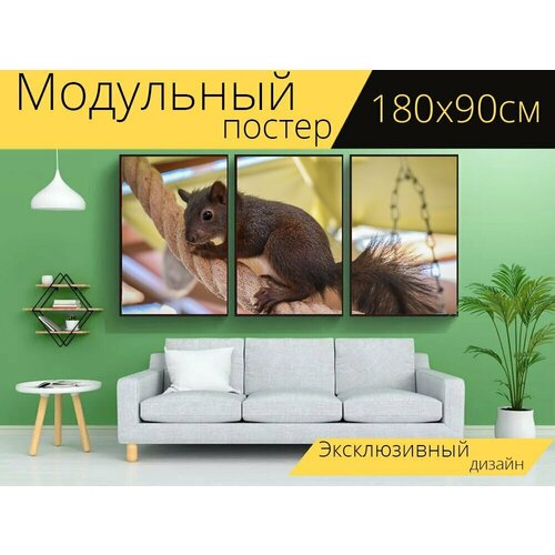 Модульный постер "Белка, грызун, животное" 180 x 90 см. для интерьера