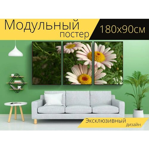 Модульный постер "Маргаритка, ромашки, цветочный" 180 x 90 см. для интерьера