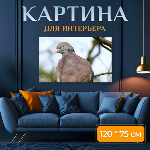 Картина на холсте "Птица, лесной голубь, перо" на подрамнике 120х75 см. для интерьера