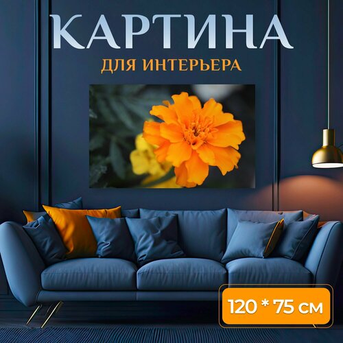 Картина на холсте "Бархатцы, цветок, апельсин" на подрамнике 120х75 см. для интерьера