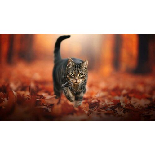 Картина на холсте 60x110 LinxOne "Осень кот боке взгляд" интерьерная для дома / на стену / на кухню / с подрамником