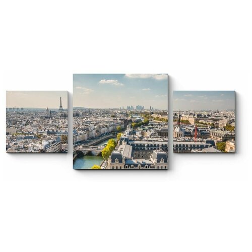 Модульная картина Пролетая над Парижем160x69