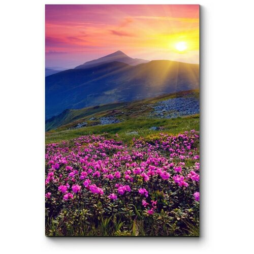 Модульная картина Розовые рододендроны в горах100x150