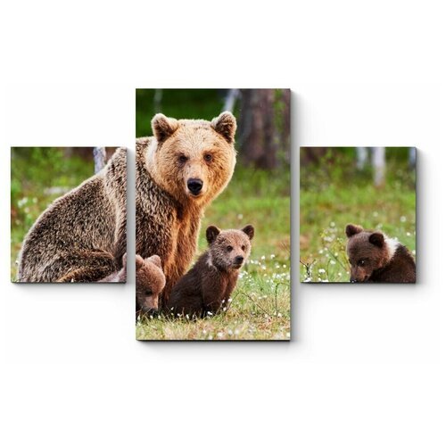 Модульная картина Семья очаровательных медведей 160x104