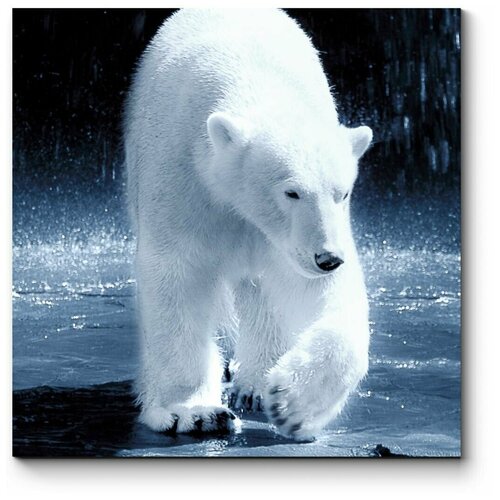 Модульная картина Белый полярный красавец 20x20