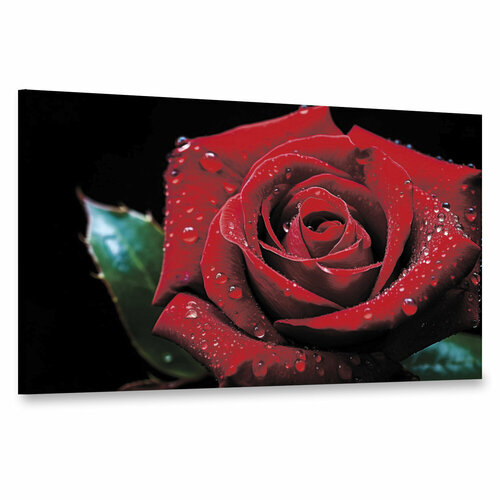 Интерьерная картина 100х60 "Алая роза"