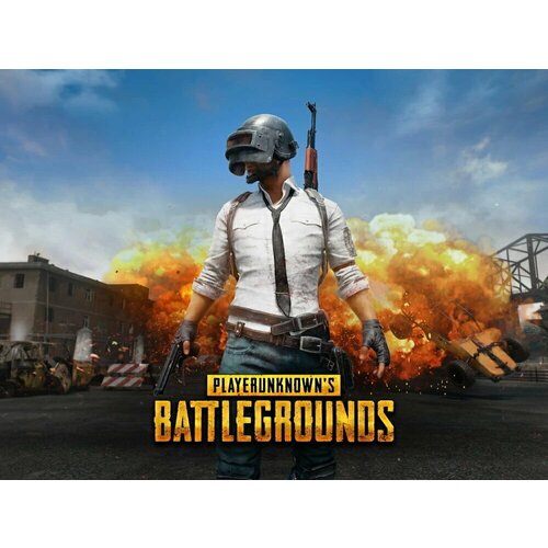Плакат, постер на холсте PlayerUnknown s Battlegrounds/игровые/игра/компьютерные герои персонажи. Размер 60 х 84 см