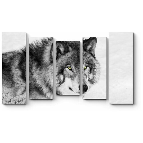Модульная картина Черно-белый портрет волка 120x72