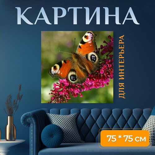 Картина на холсте "Бабочка, фея павлин, цветок" на подрамнике 75х75 см. для интерьера