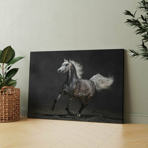 Картина на холсте "Коричнево-белая лошадь бежит по черному фону" 20x30 см. Интерьерная, на стену.