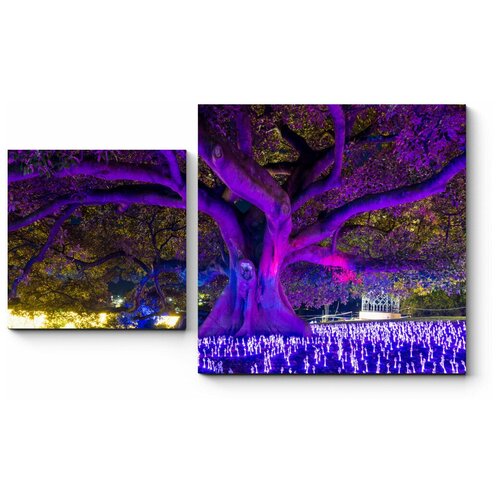 Модульная картина Фестиваль света, Сидней 50x30