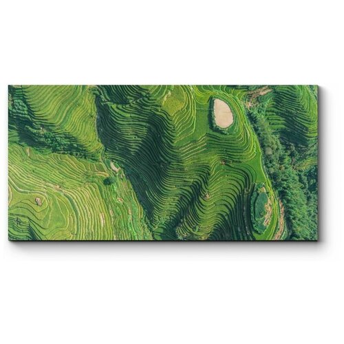 Модульная картина Линии рисовых полей 150x75