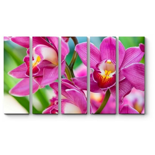 Модульная картина Тайские орхидеи, Чиангмай (Таиланд) 90x54