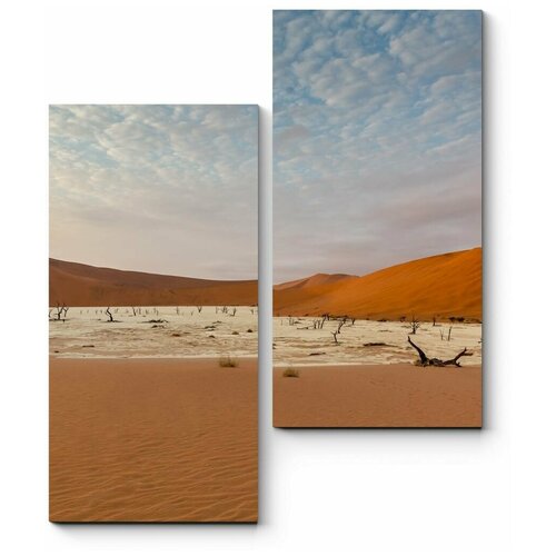 Модульная картина Умиротворенная пустыня 50x63