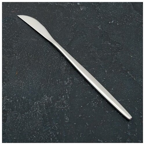 Magistro Нож столовый Magistro «Блинк», длина 22 см, на подвесе, цвет серебряный