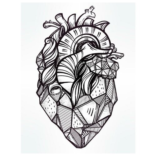 Постер / Плакат / Картина Стилизованное сердце человека 50х70 см в подарочном тубусе