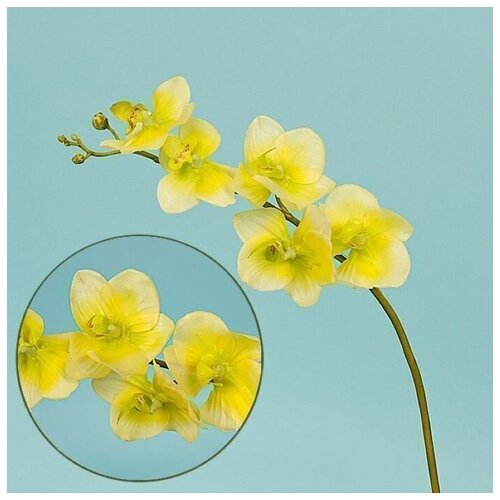 Искусственные цветы орхидея фаленопсис "Natural touch" желтая 40 см для декора