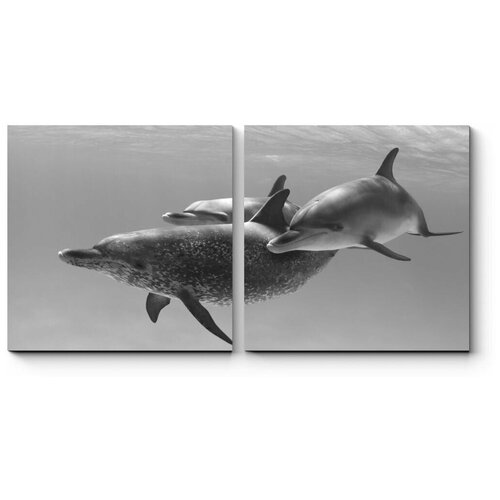 Модульная картина Трио пятнистых дельфинов150x75