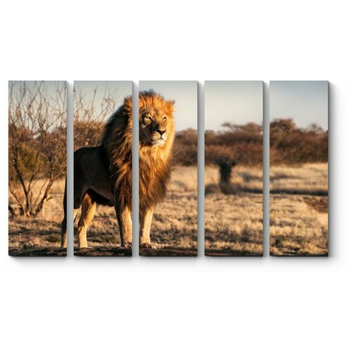 Модульная картина Одинокий лев 190x114