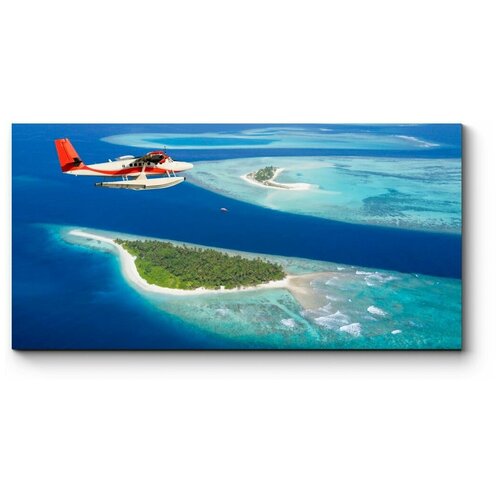 Модульная картина Летающий над Мальдивами 130x65