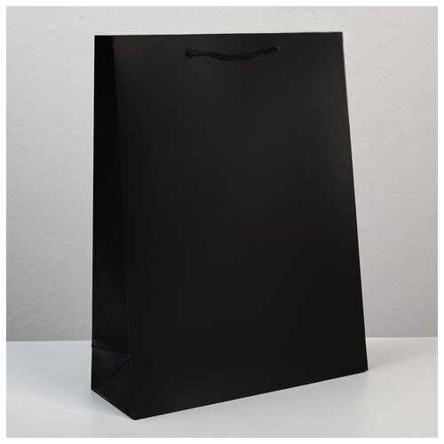 Пакет ламинированный ТероПром 6582803 «Чёрный», L 28 х 38 х 9 см