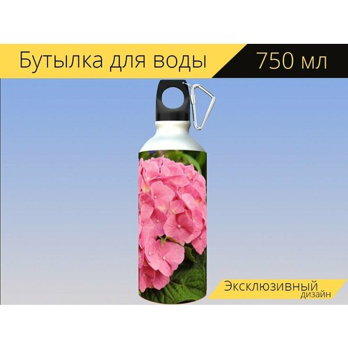 Бутылка фляга для воды "Гортензии, расцветает, розовый" 750 мл. с карабином и принтом
