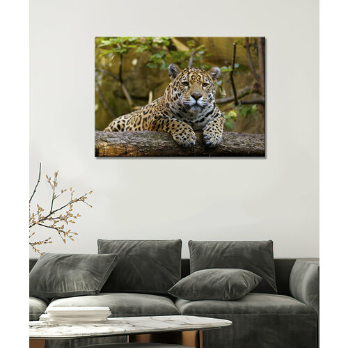 Картина/Ягур/Ягуар в джунглях/Ягуар на дереве/Черный ягуар/ - Ягуар (53) 60х80