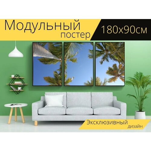 Модульный постер "Ладони, пунта кана, тропический" 180 x 90 см. для интерьера