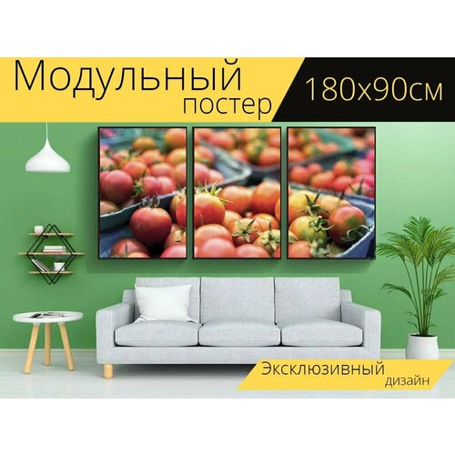 Модульный постер "Помидор, здоровый, здоровье" 180 x 90 см. для интерьера