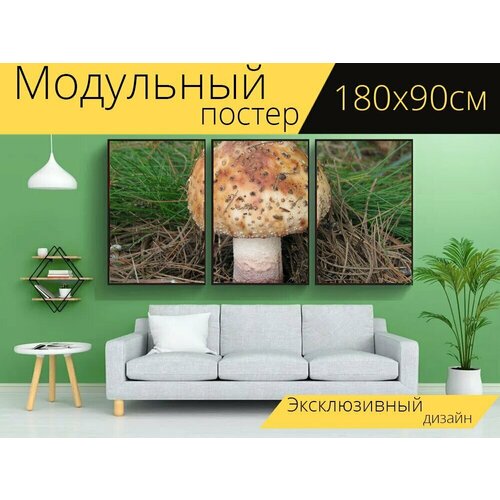 Модульный постер "Лесной гриб, поганка, грибок" 180 x 90 см. для интерьера
