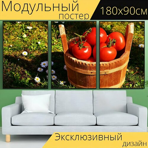 Модульный постер "Помидоры, овощи, ведро" 180 x 90 см. для интерьера