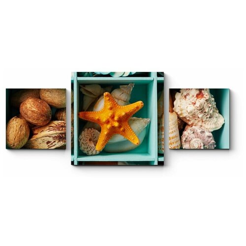 Модульная картина Коробочка с морскими сокровищами180x77