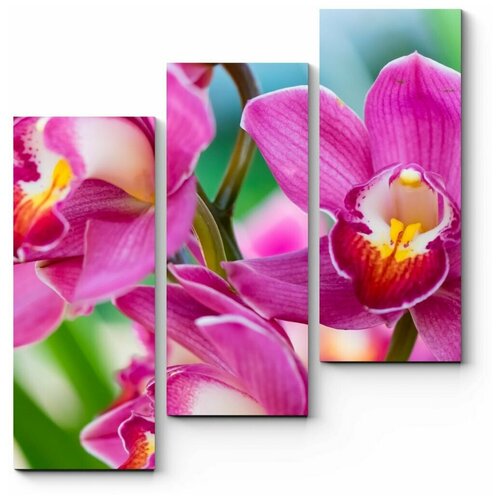 Модульная картина Тайские орхидеи, Чиангмай (Таиланд) 60x64