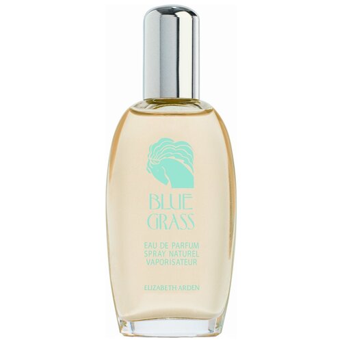 Elizabeth Arden парфюмерная вода Blue Grass, 100 мл, 252 г