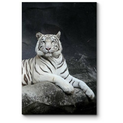Модульная картина Величественный белый тигр 50x75