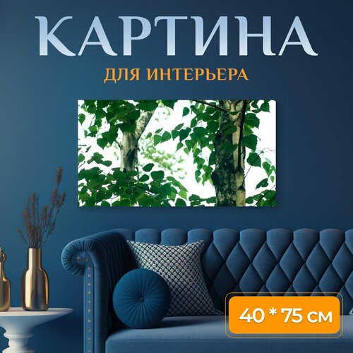 Картина на холсте "Береза, лес, зеленый" на подрамнике 75х40 см. для интерьера
