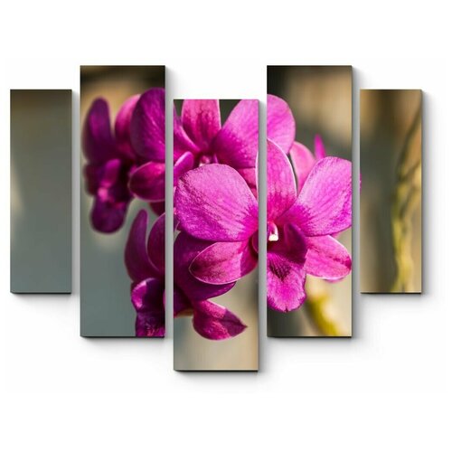 Модульная картина Королева цветов - прекрасная орхидея 121x98