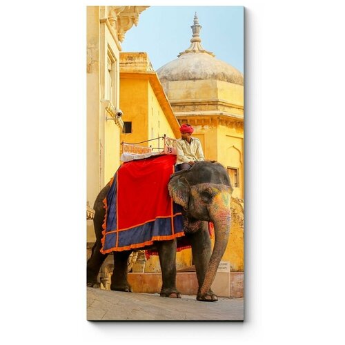 Модульная картина Индийский слон 60x120