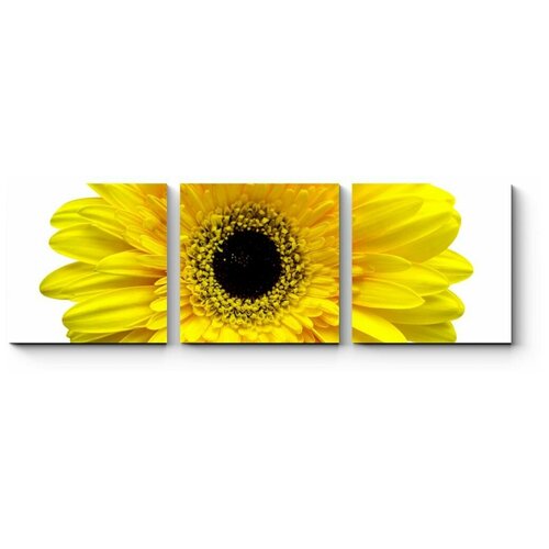 Модульная картина Солнечная гербера 180x60