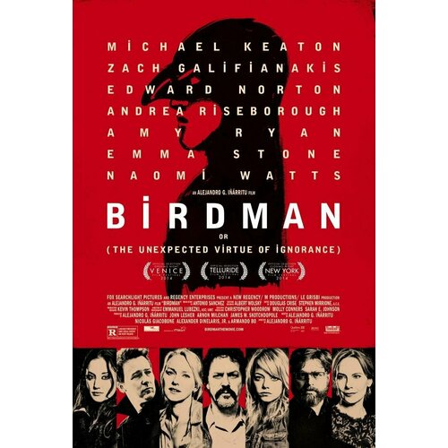Плакат, постер на бумаге Birdman/Бёрдмэн. Размер 21 х 30 см