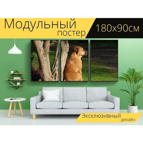 Модульный постер "Собака, мастиф, бульмастиф" 180 x 90 см. для интерьера