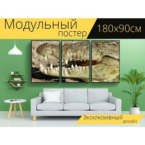 Модульный постер "Ботсвана, крокодил, чобе" 180 x 90 см. для интерьера