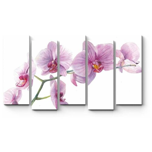 Модульная картина Ветка чудесной орхидеи 180x104