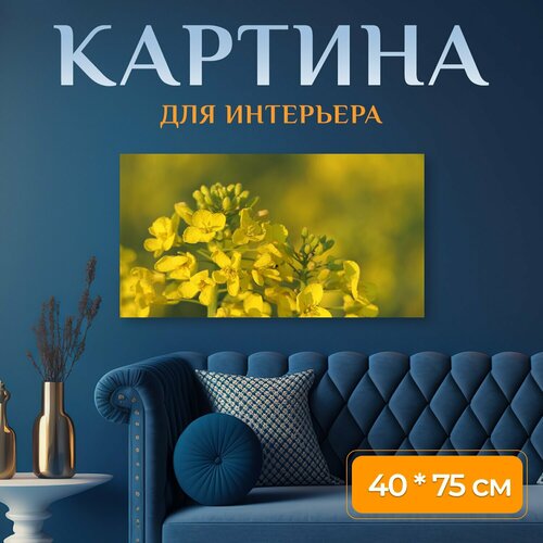 Картина на холсте "Рапс, цветок, жёлтый" на подрамнике 75х40 см. для интерьера
