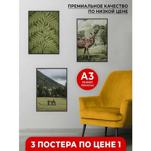 Набор постеров с природой и животными на стену 30x40 см