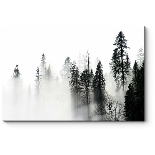 Модульная картина Лес в утреннем тумане80x53