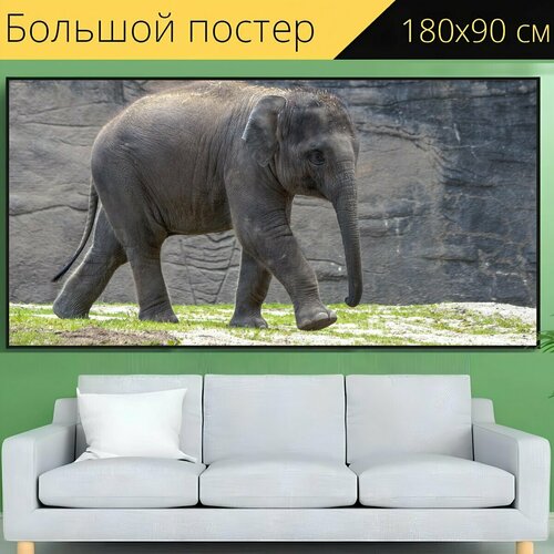 Большой постер "Слон, телец, зоопарк" 180 x 90 см. для интерьера