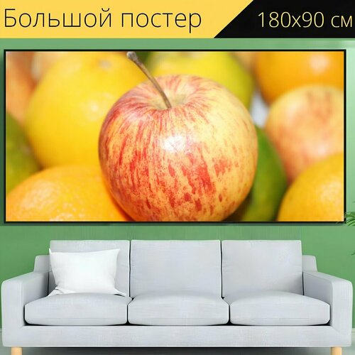 Большой постер "Яблоко, апельсин, фрукты" 180 x 90 см. для интерьера