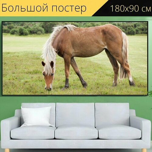 Большой постер "Лошадь, пони, животное" 180 x 90 см. для интерьера